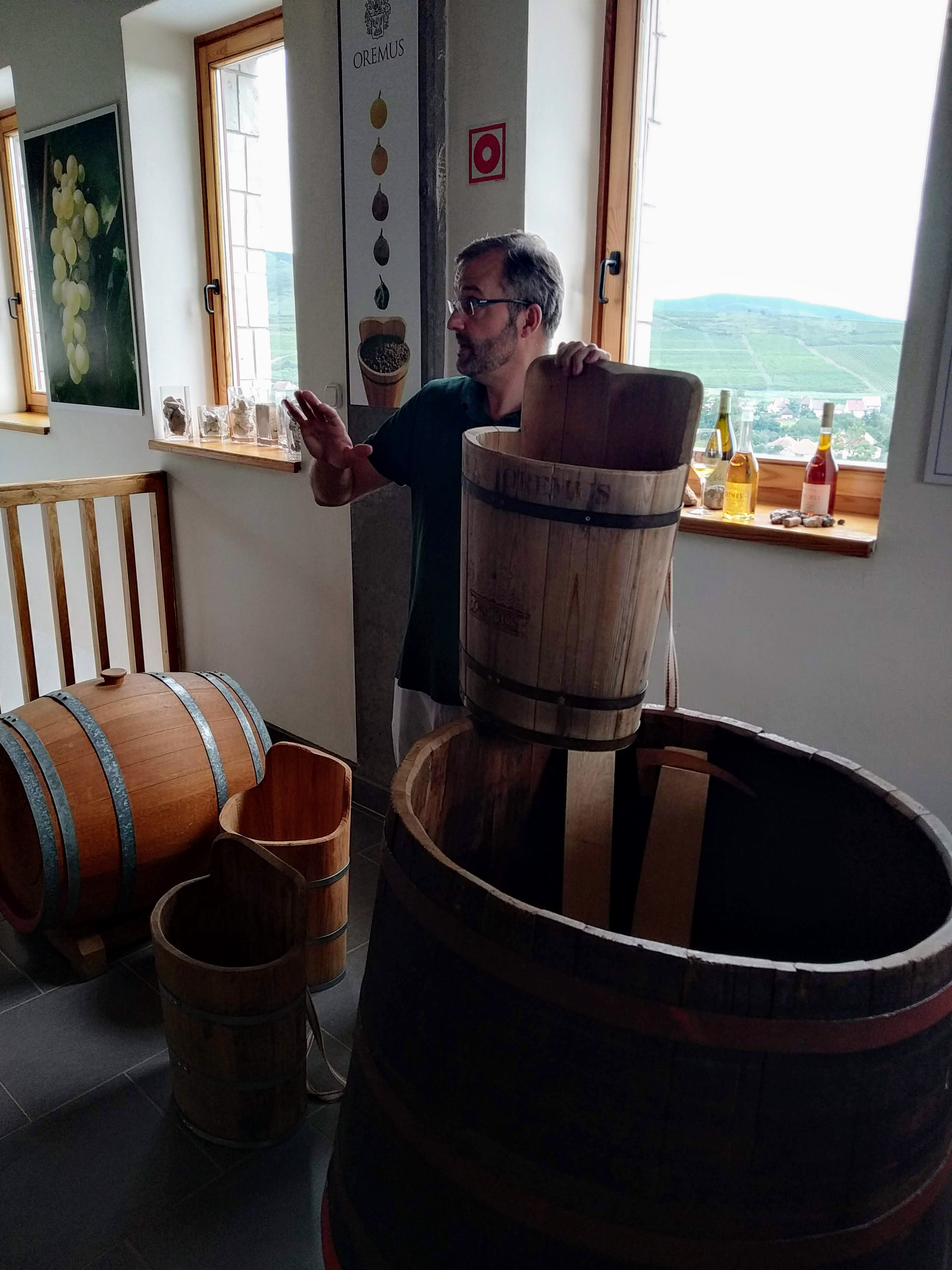 Wine tours in Tokaj wine region - Guided Wine Tour in Upper Hungary ...