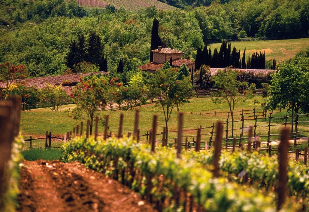 10 best wineries in Tuscany to visit in 2023 | Winetourism.com