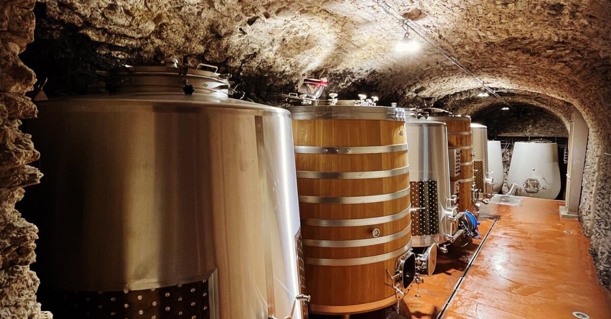 Domaine Mayard - Winery in Rhône | Winetourism.com