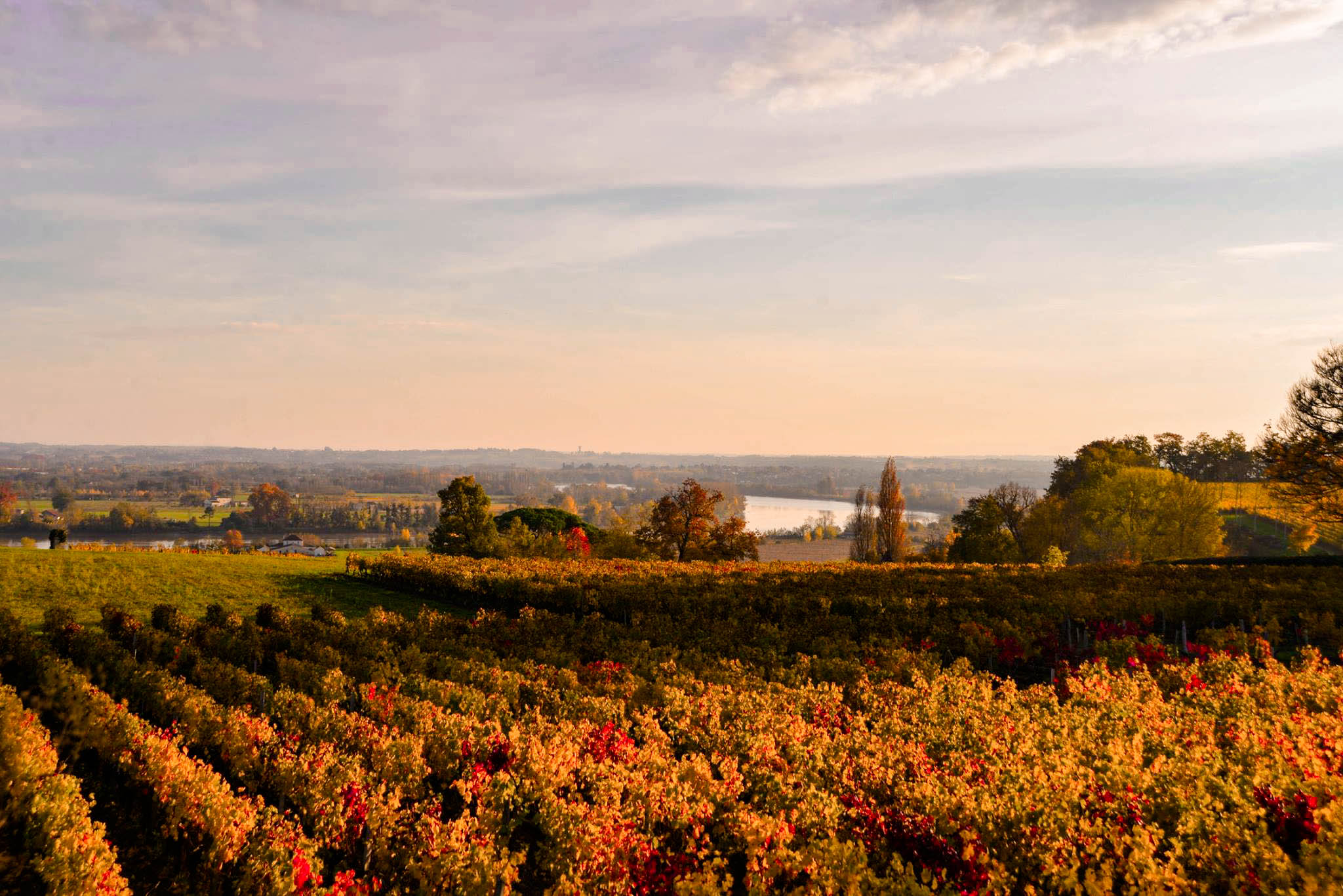 La Closerie de Fronsac - Winery in Bordeaux | Winetourism.com