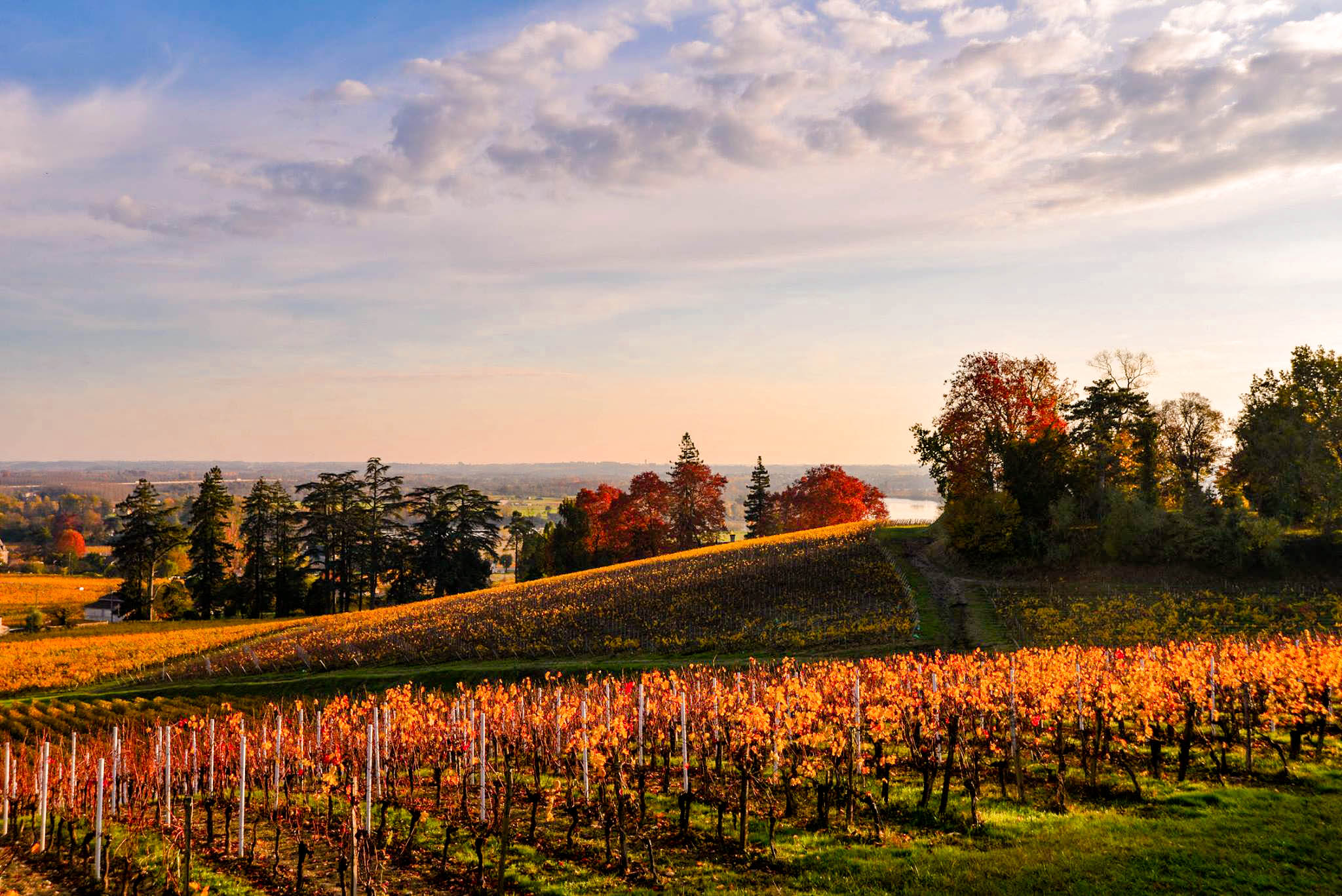 La Closerie de Fronsac - Winery in Bordeaux | Winetourism.com