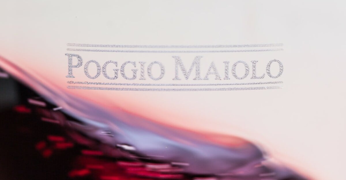 Poggio Maiolo Quick Wine Tasting Experience | Winetourism.com