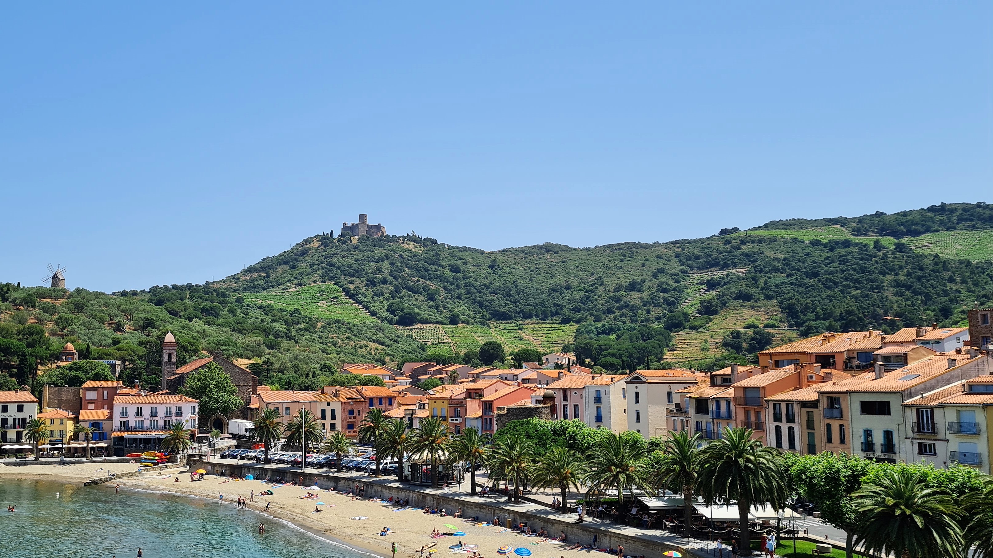 Vineyards of the French Catalan coast - Guided Wine Tour in Languedoc ...