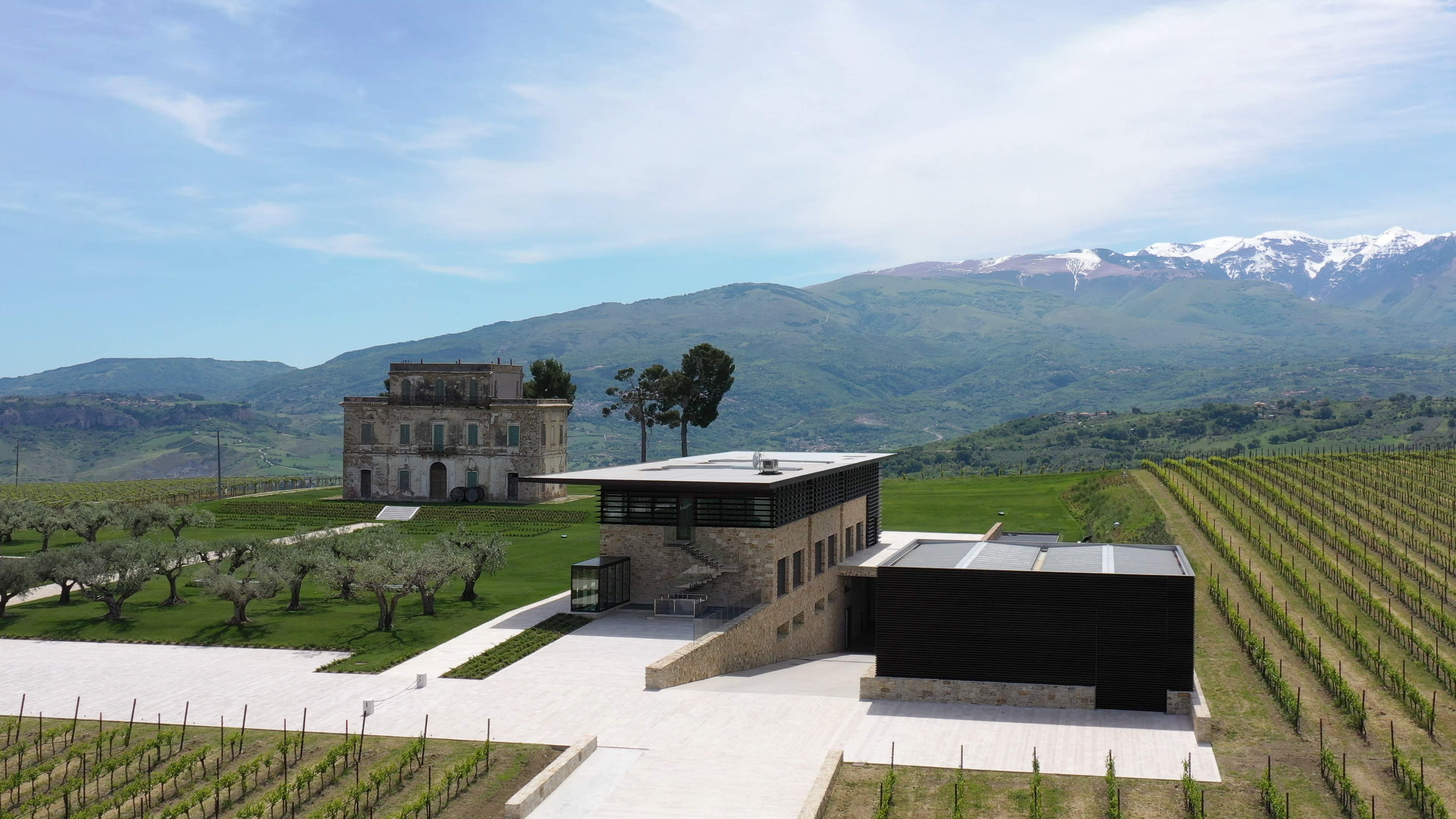 Castorani - Premium Wine Tasting and Lunch Experience in Abruzzo ...