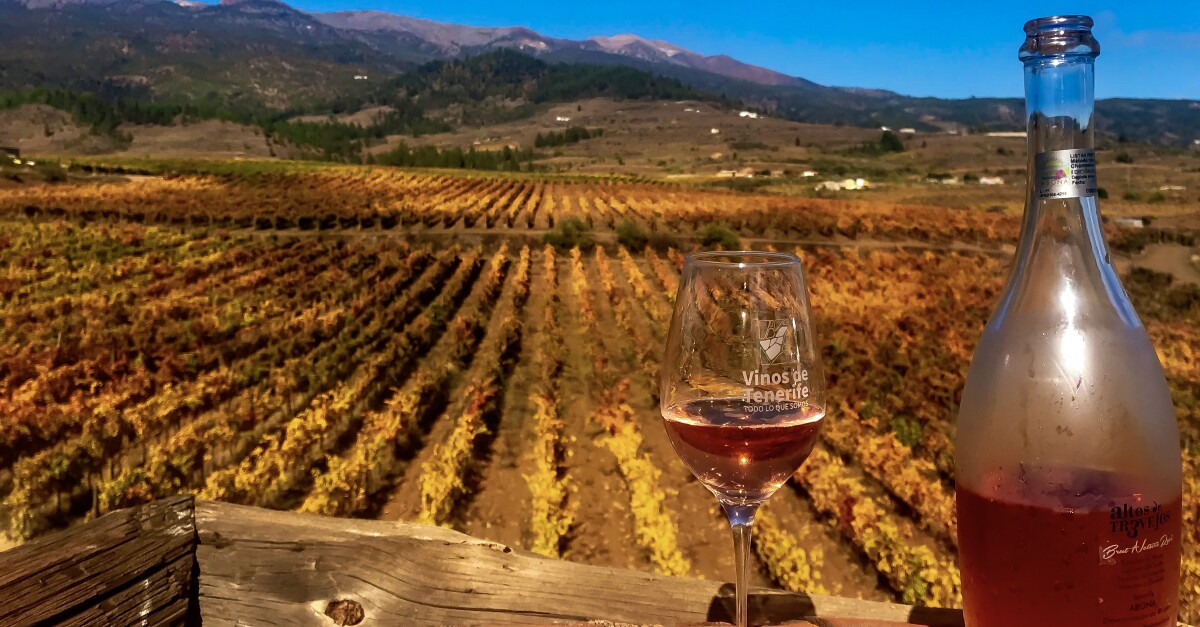 Tenerife, island of singular volcanic wines - Guided Wine Tour in ...