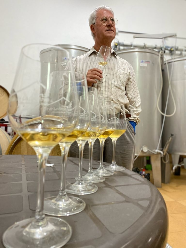 Tenerife, island of singular volcanic wines - Guided Wine Tour in ...