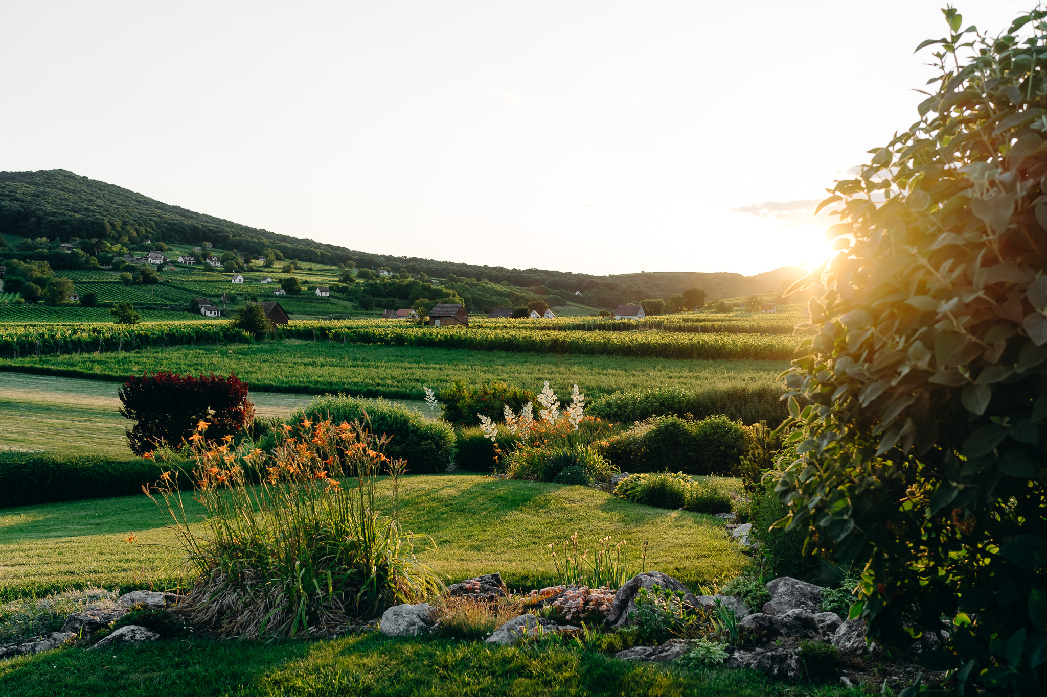 Sauska Winery | Villány - Winery in Villany Wine Region | Winetourism.com