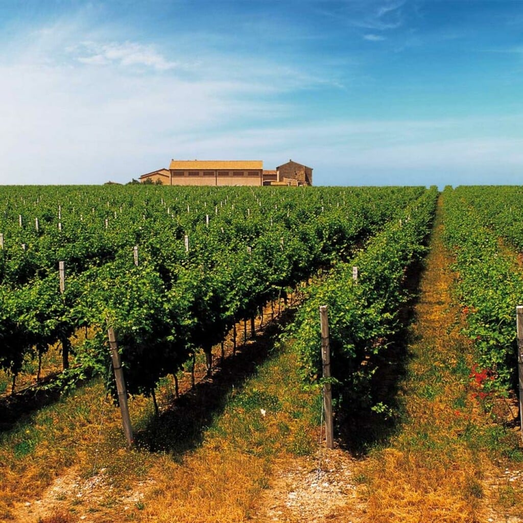 Cantine Lenotti - Winery in Veneto | Winetourism.com