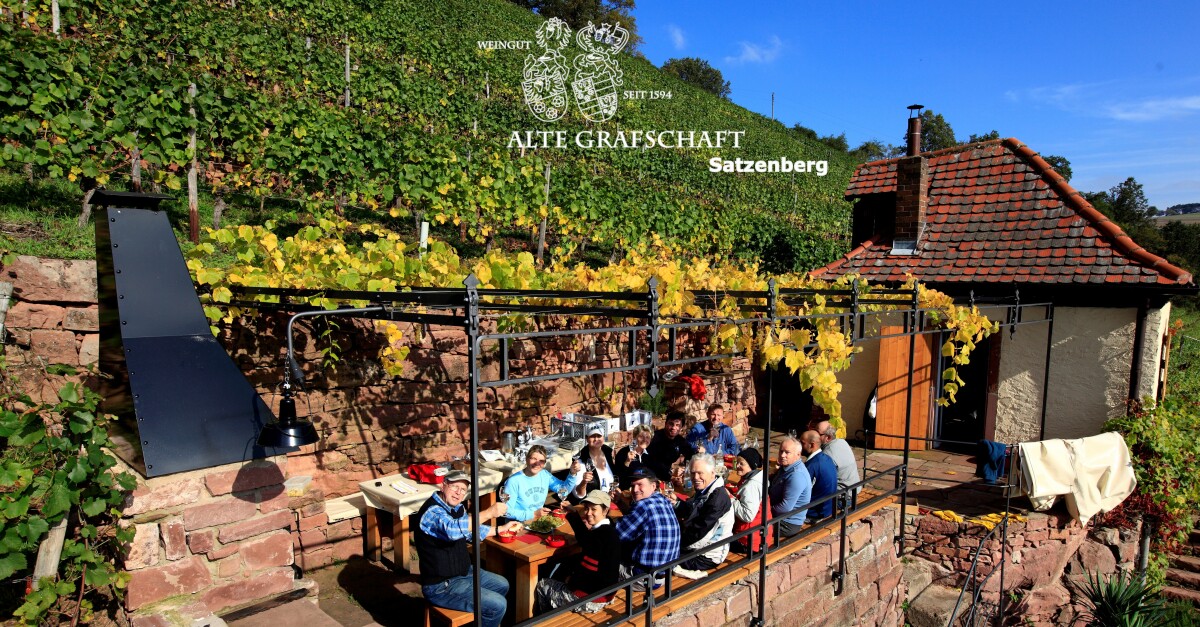 Weingut Alte Grafschaft - Kreuzwertheim winery | Winetourism.com