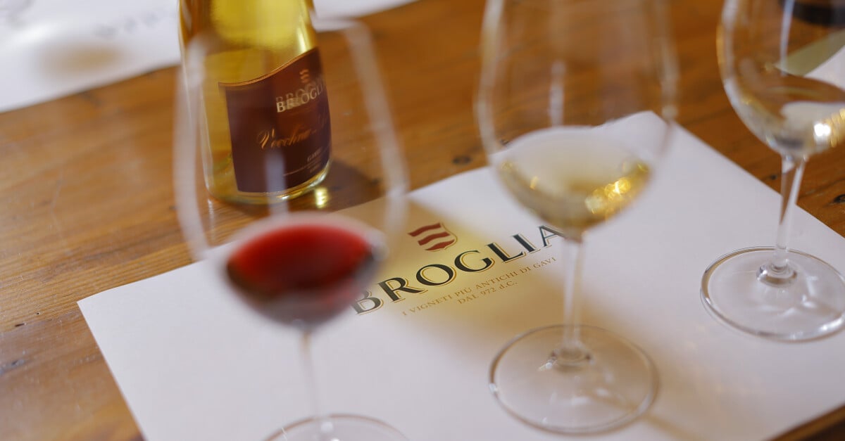 Broglia - Classic Tasting in Piedmont | Winetourism.com