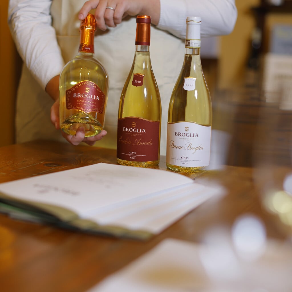 Broglia Winery Wine Tasting in Gavi, Piedmont | Winetourism.com