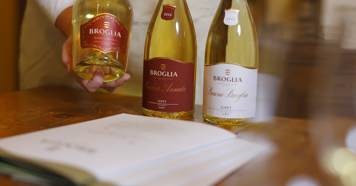 Broglia Winery Wine Tasting in Gavi, Piedmont | Winetourism.com
