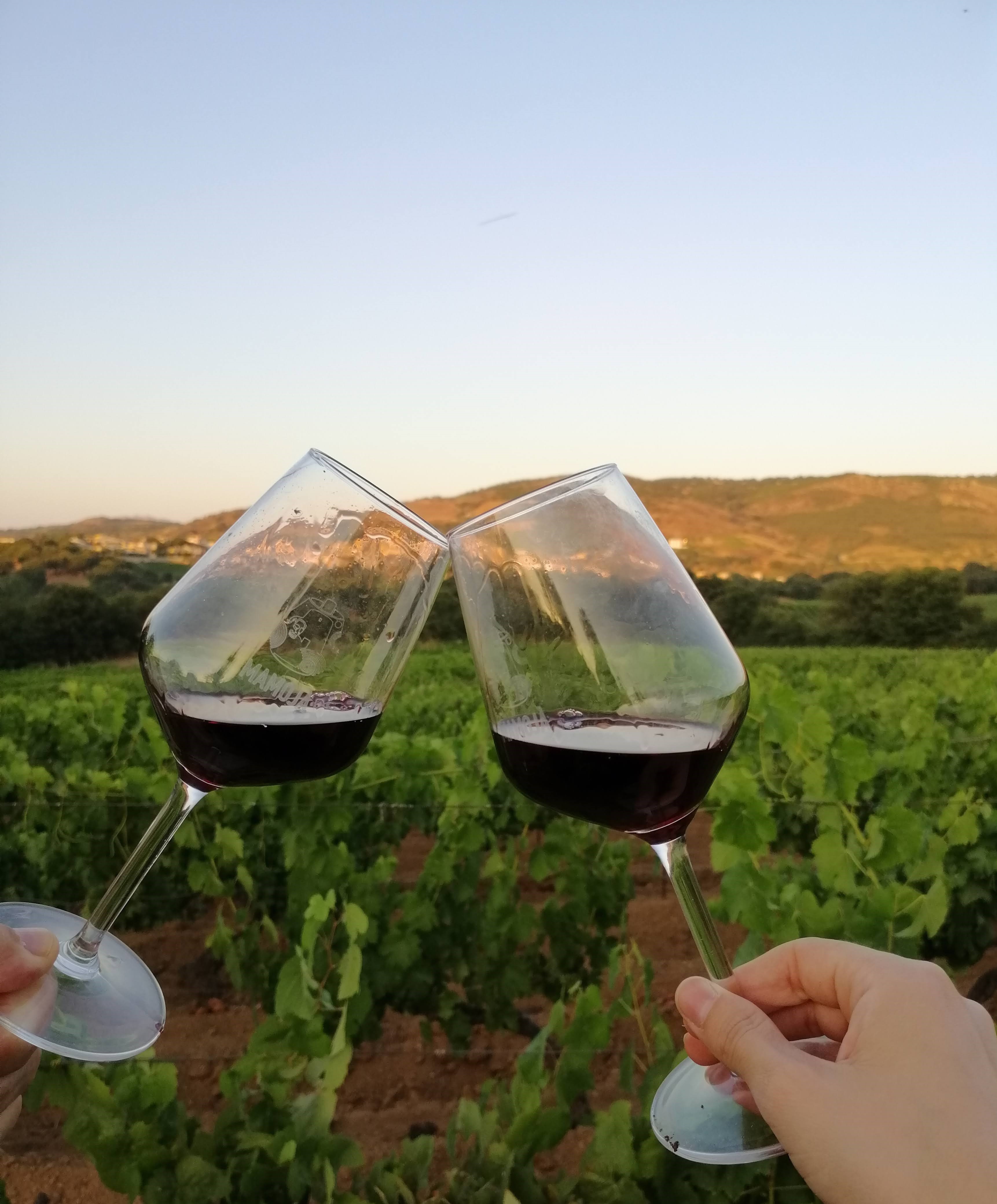 Mussennore Mamoiada - Wine Tasting in Sardinia | WineTourism.com