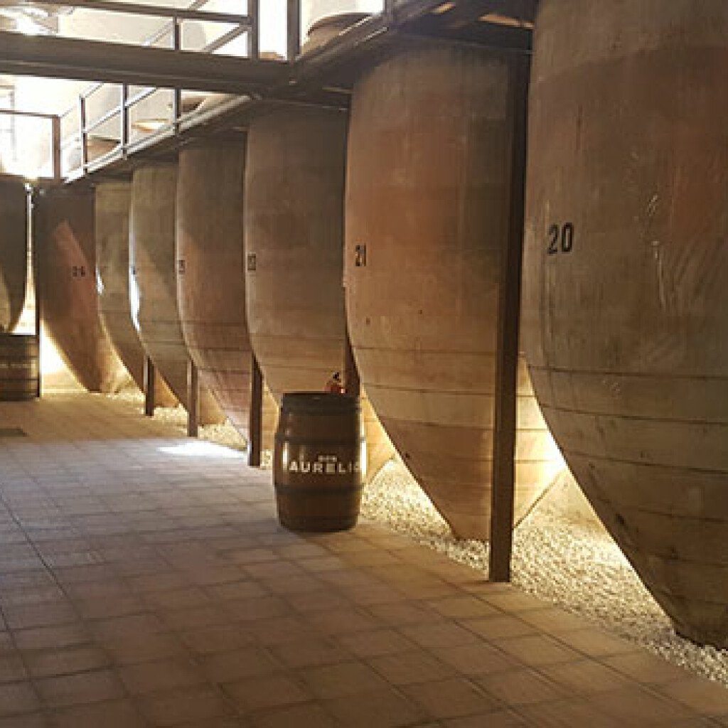 Navarro López Traditional Winery - Wine Tasting in Valdepeñas ...