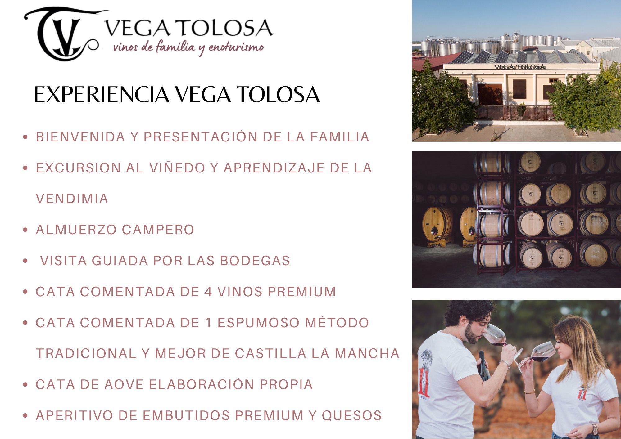 Vega Tolosa Experience in Castilla-La-Mancha | WineTourism.com