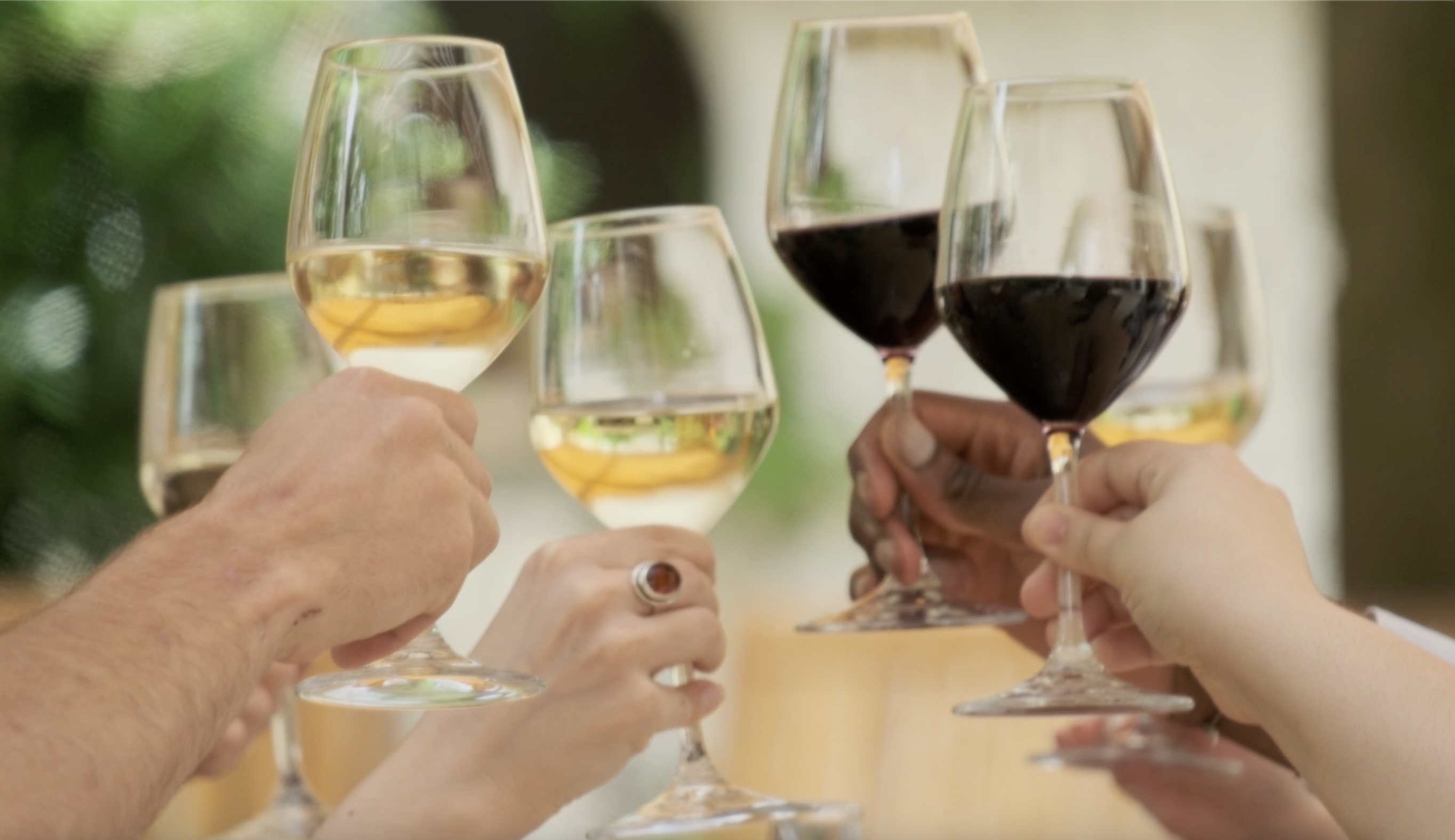 Half-Day Guided Wine Tasting Tour in Bordeaux Vineyards | Winetourism.com