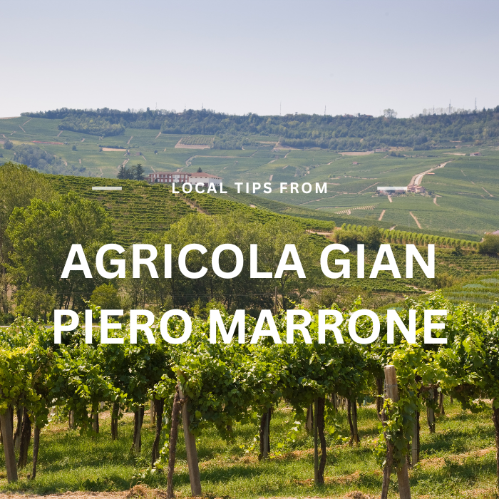 Exclusive Wine Tours in Piedmont 🍷 Tailored Tastings 2025 | Winetourism.com