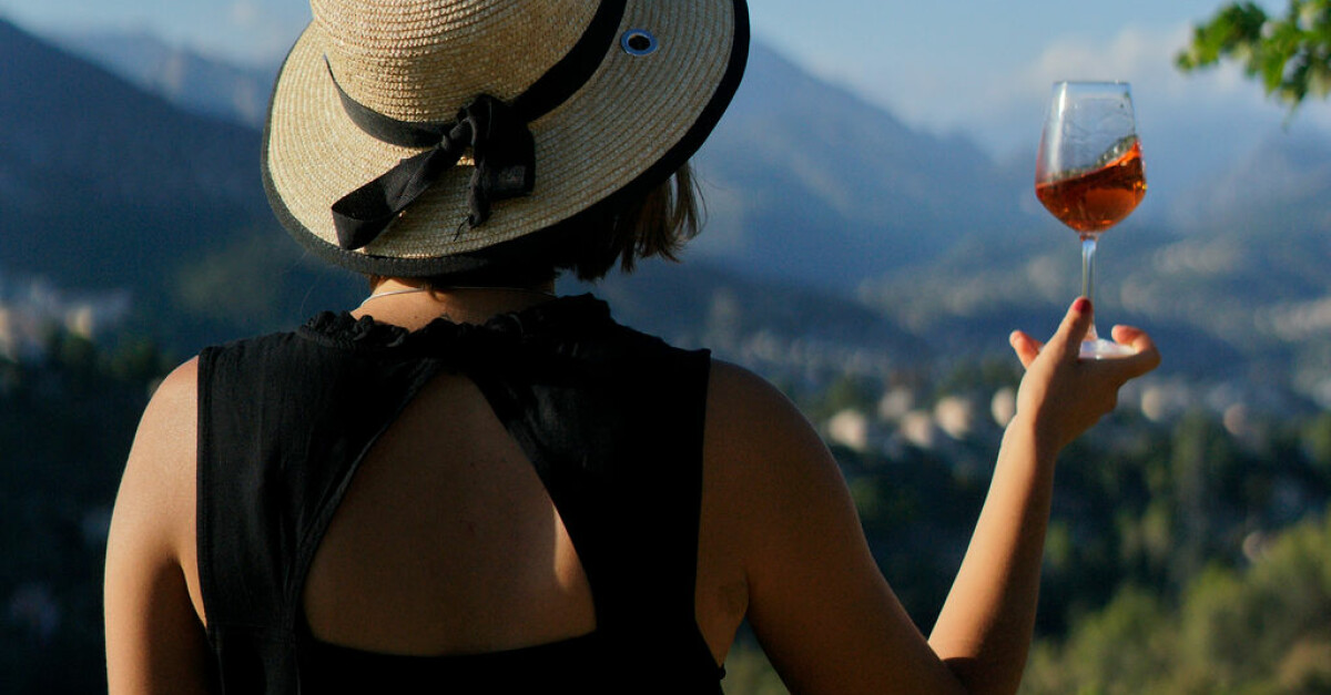 Vineyard Tour - Guided Wine Tour in Bellet | WineTourism.com