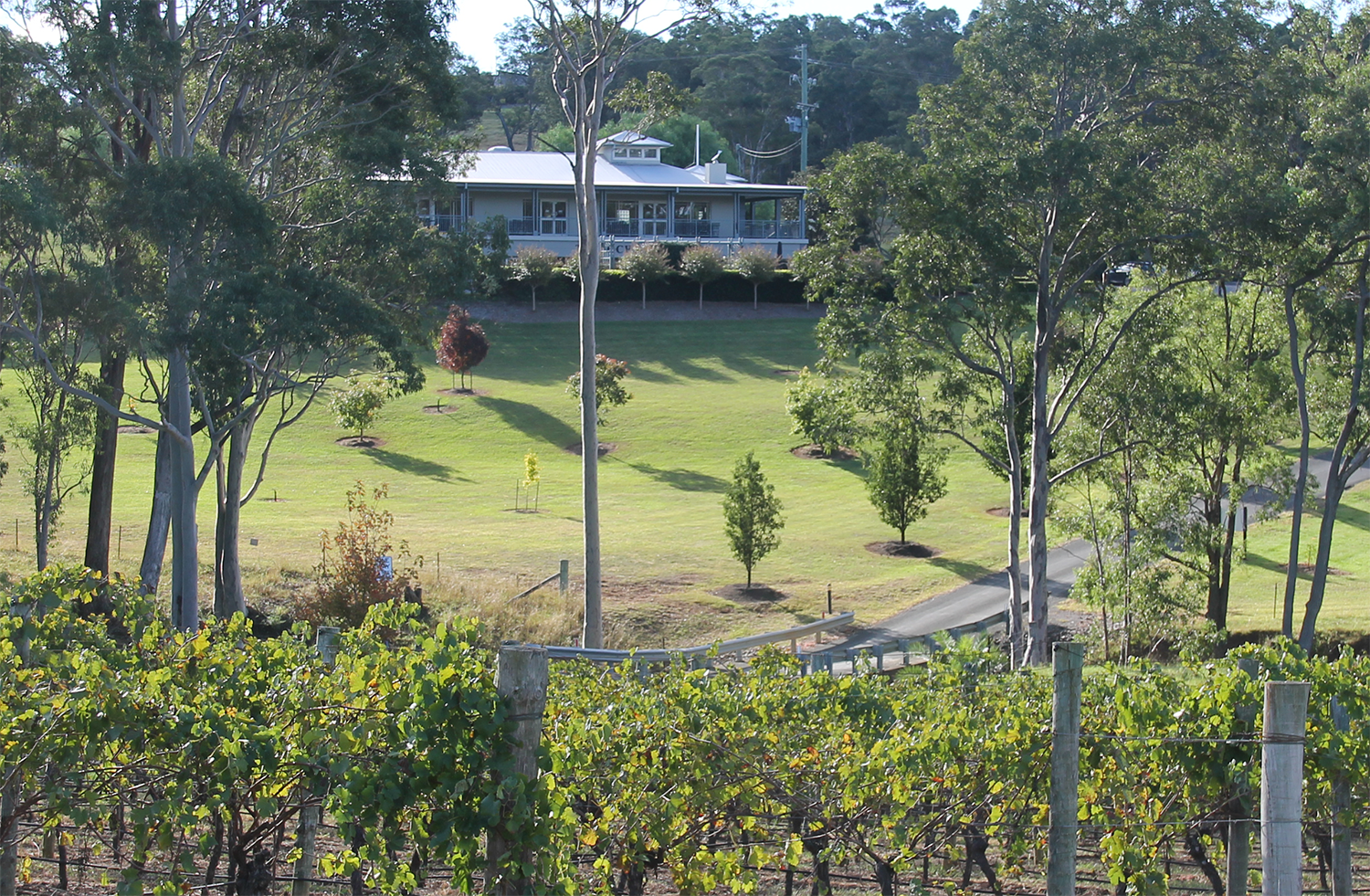 Tulloch Wines - Wine Tasting and Cheese in NSW | WineTourism.com