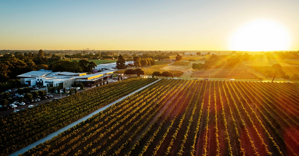 Mandoon Estate - Winery in Western Australia | Winetourism.com