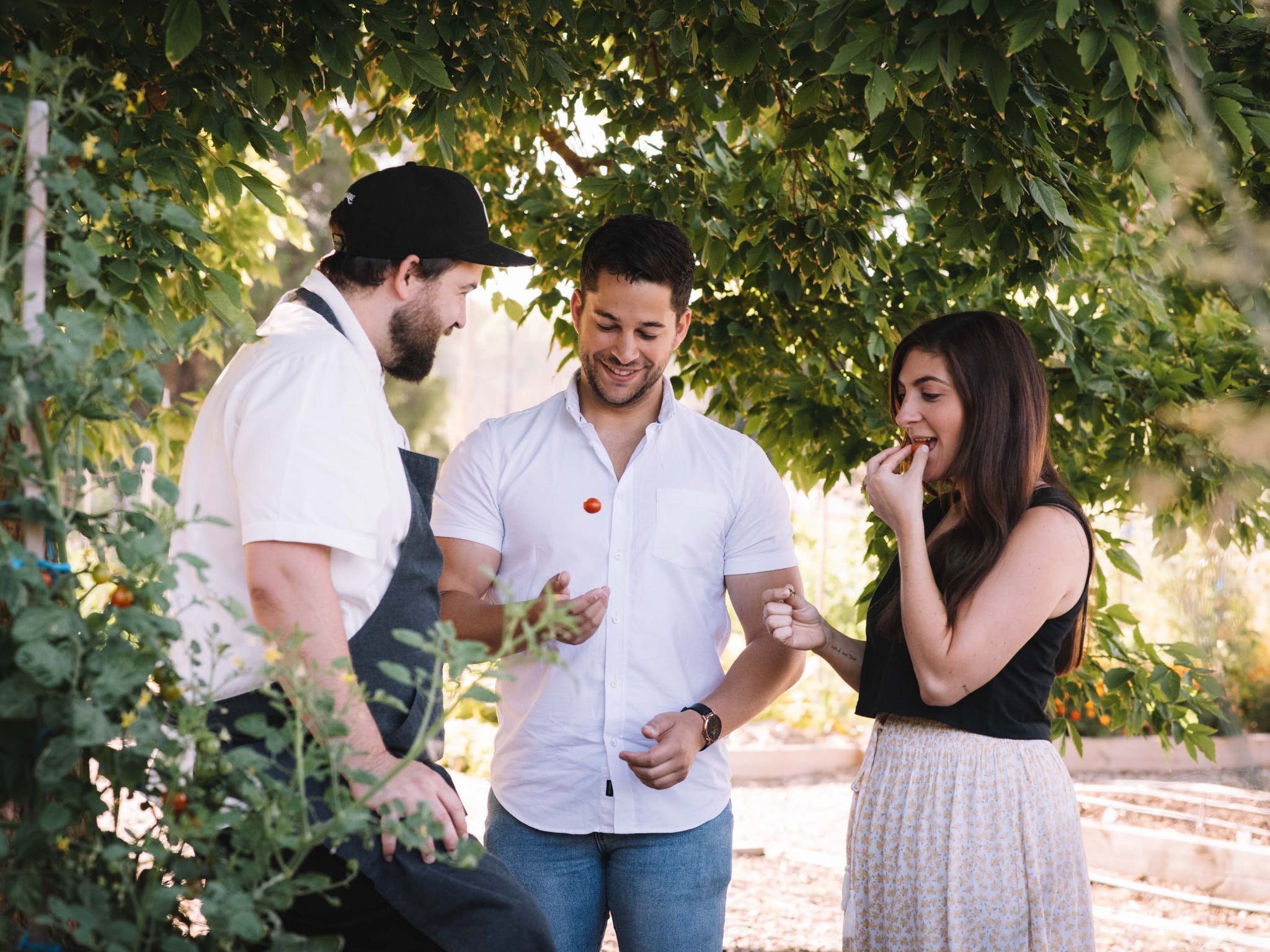 Brown Brothers - Wine and Food in Victoria | WineTourism.com