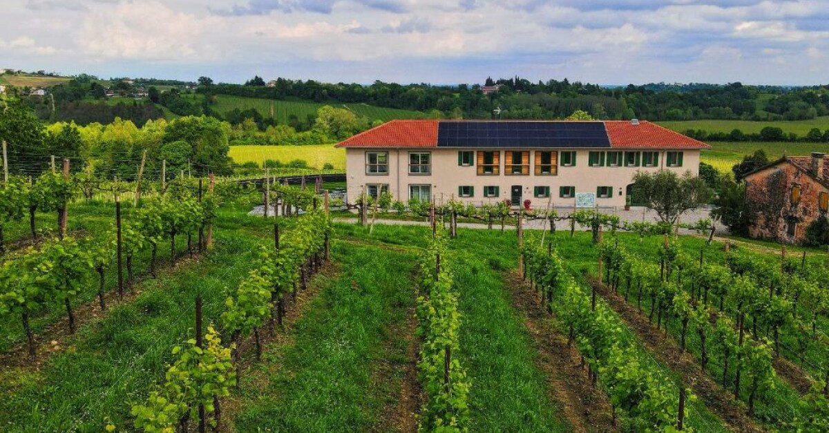 Prosecco and Amarone Dinner Tasting in Veneto | WineTourism.com