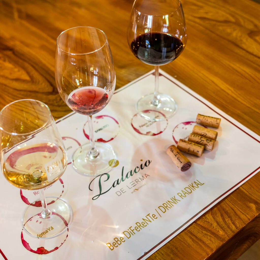 Bodegas Palacio de Lerma - Popular Wine Tasting and Tour| Winetourism.com