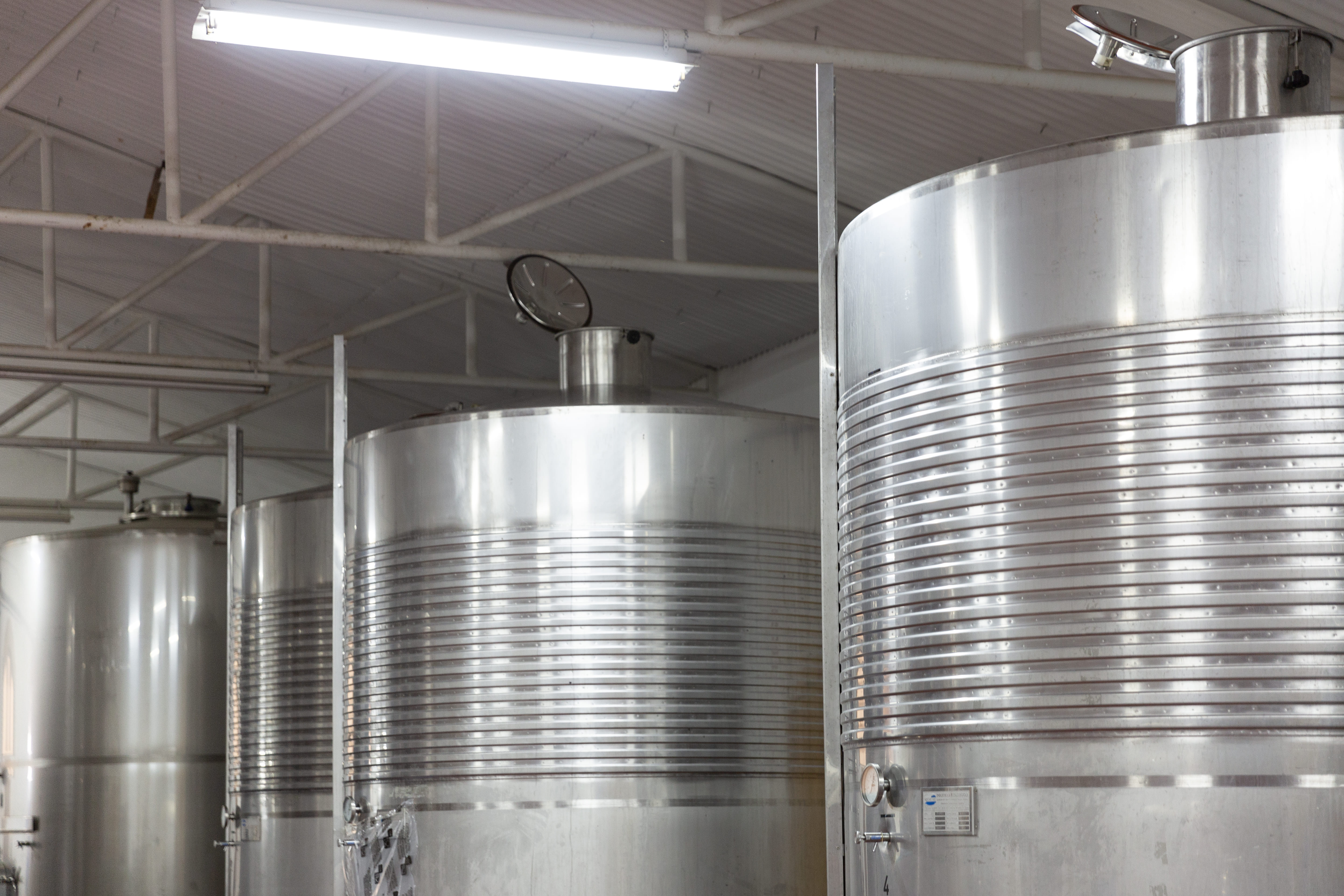 Bodegas Palacio de Lerma - Blind Tasting | Winetourism.com