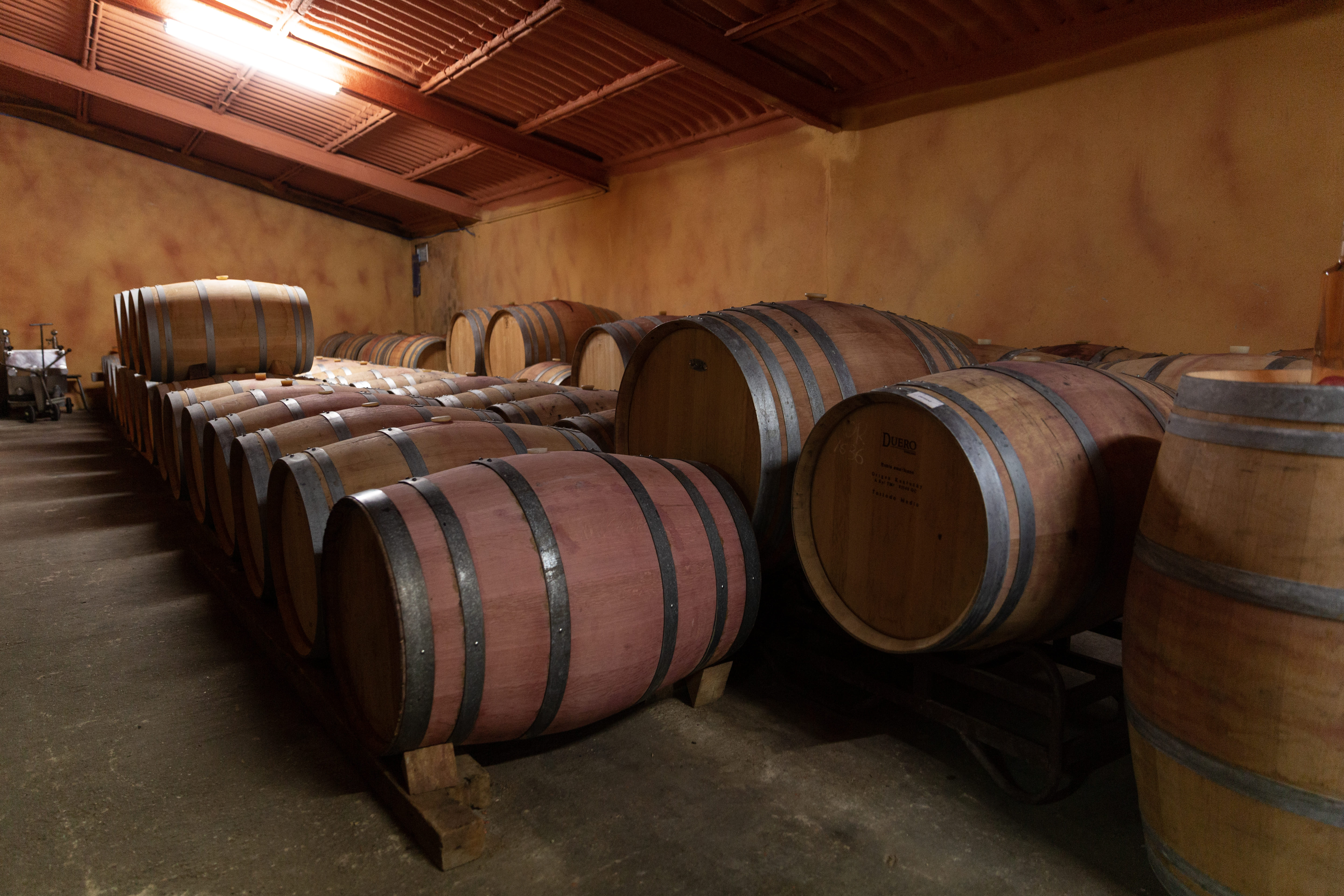 Bodegas Palacio de Lerma - Blind Tasting | Winetourism.com