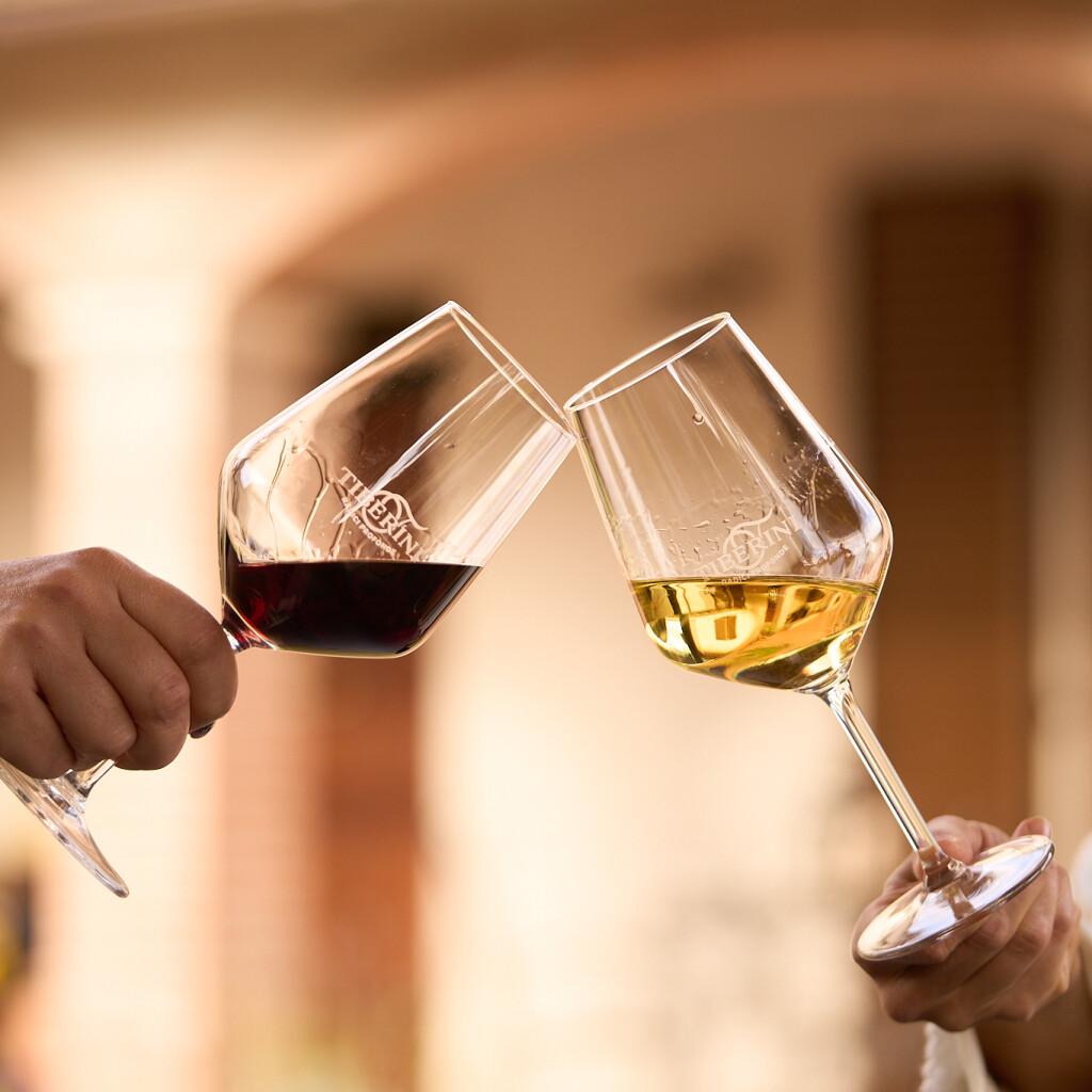 Tiberini Wine Tasting & Slow Food Experience in Montepulciano ...