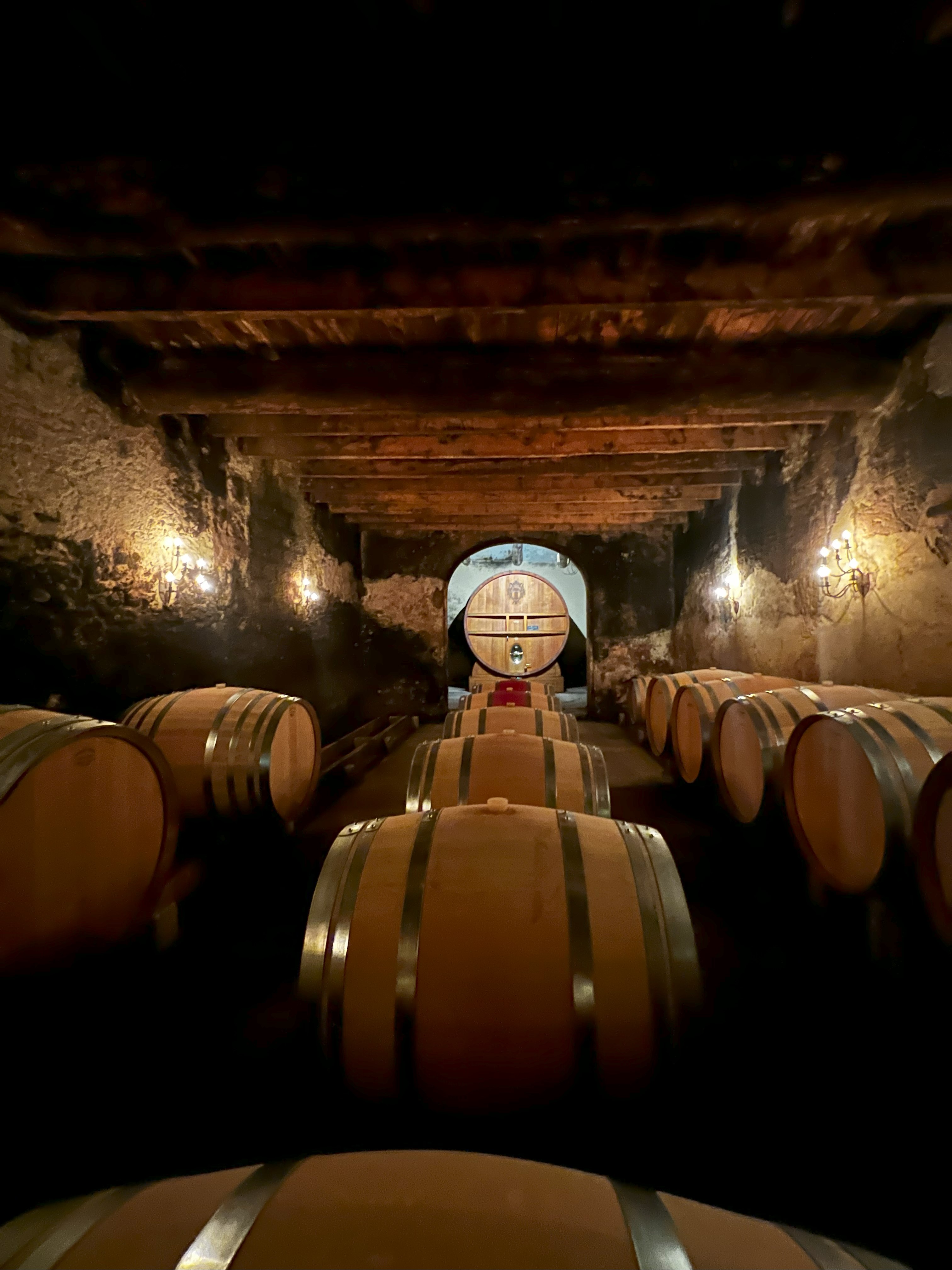 Kevin C - Local Wine Guide in Rhone | WineTourism.com