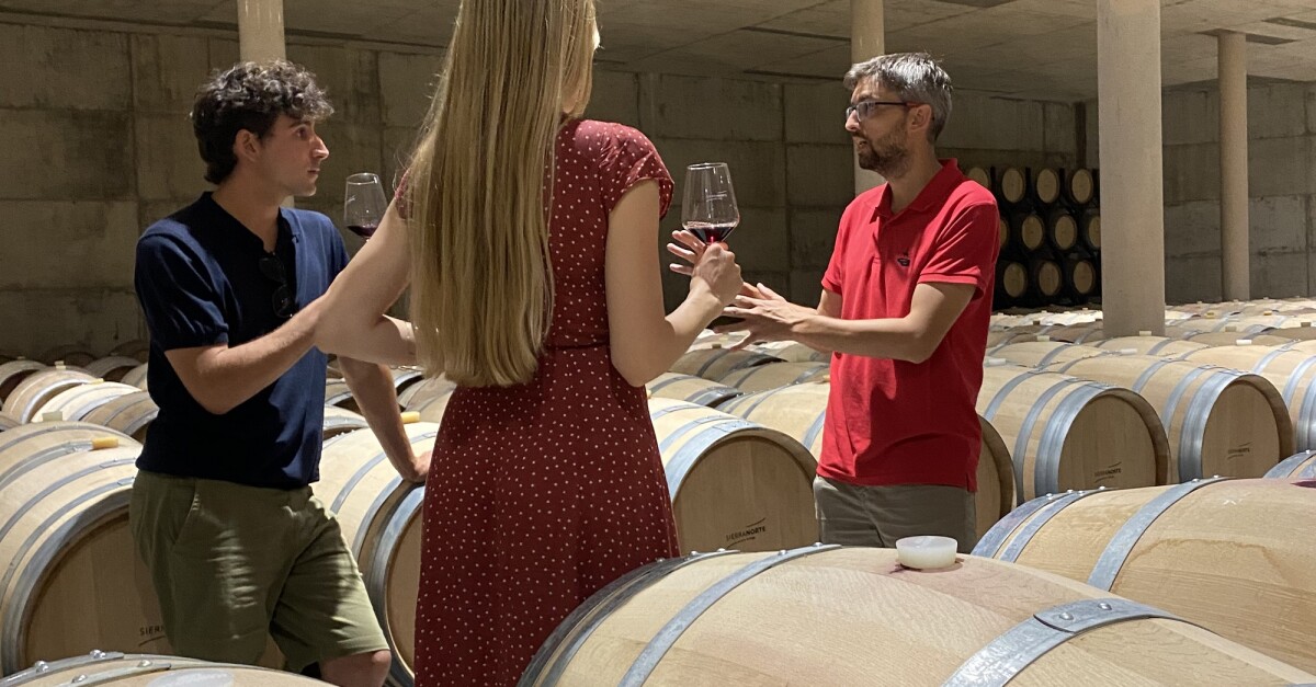 David N - Local wine Guide in Valencia | WineTourism.com