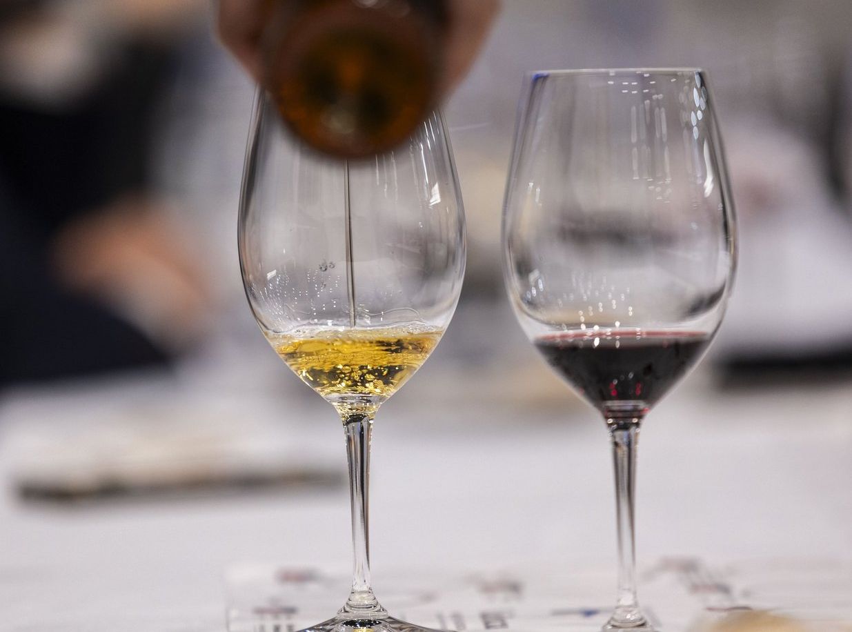Valencian Wine Tasting and Tapas Experience | WineTourism.com