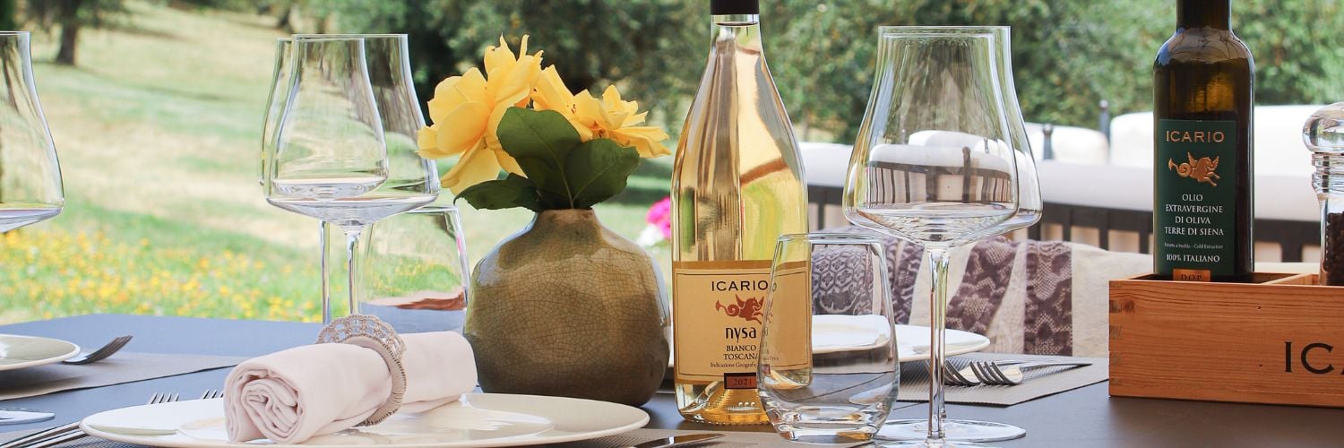 Icario Winery- Platinum Wine Tasting and Tour| Winetourism.com