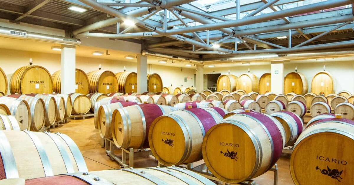 Wine Tasting & Tour at Icario Winery in Tuscany | Winetourism.com