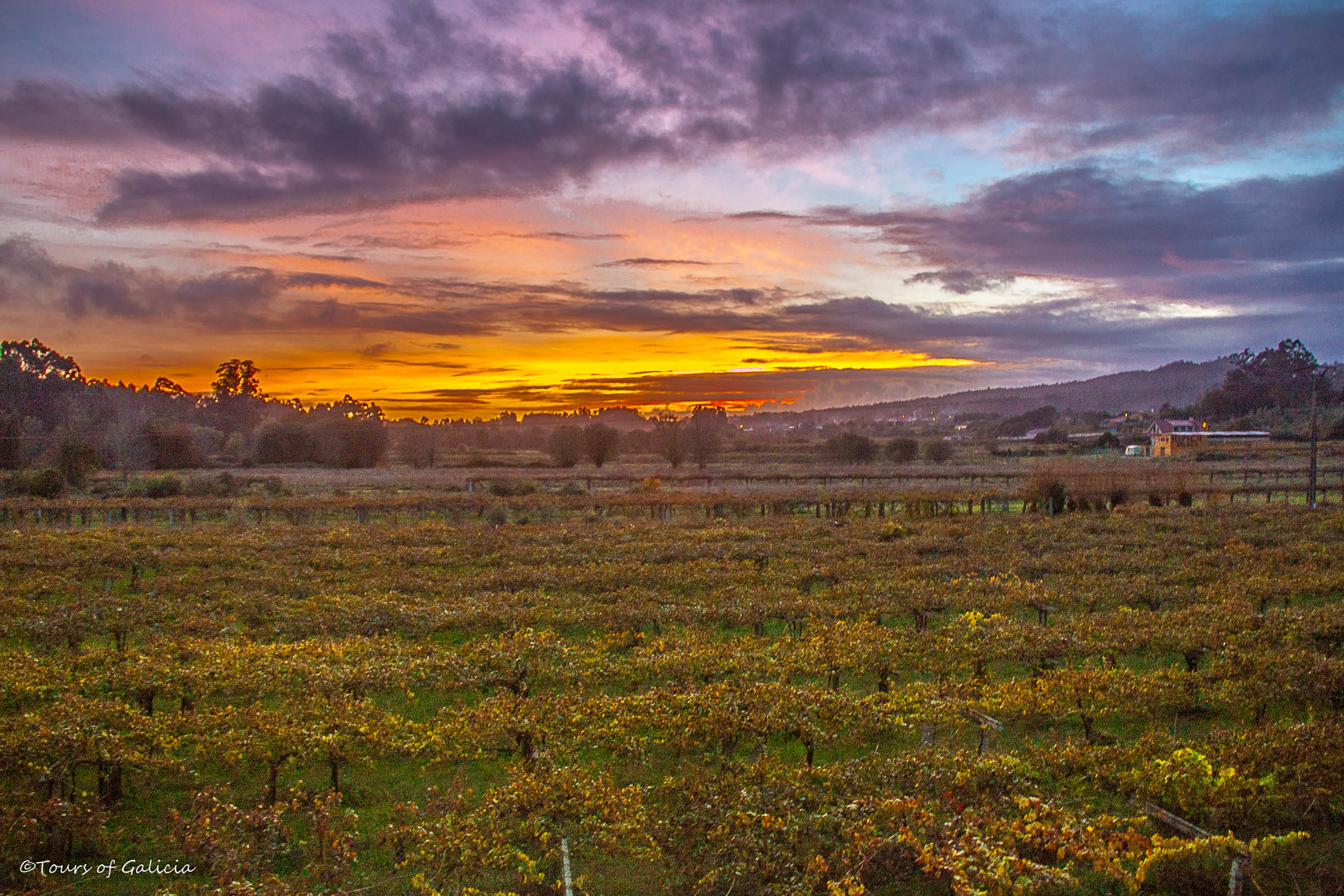 Albariño 2 day visit in Galicia | WineTourism.com