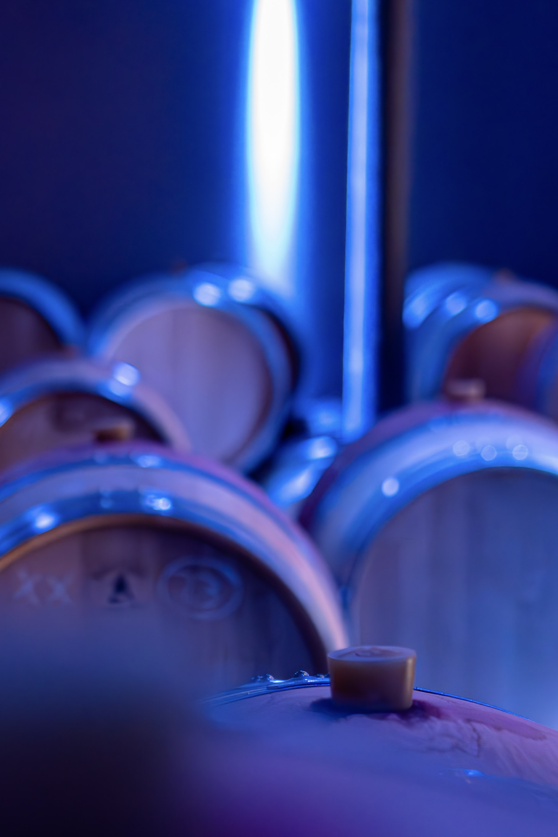 Masterclass workshop in Bordeaux | Winetourism.com