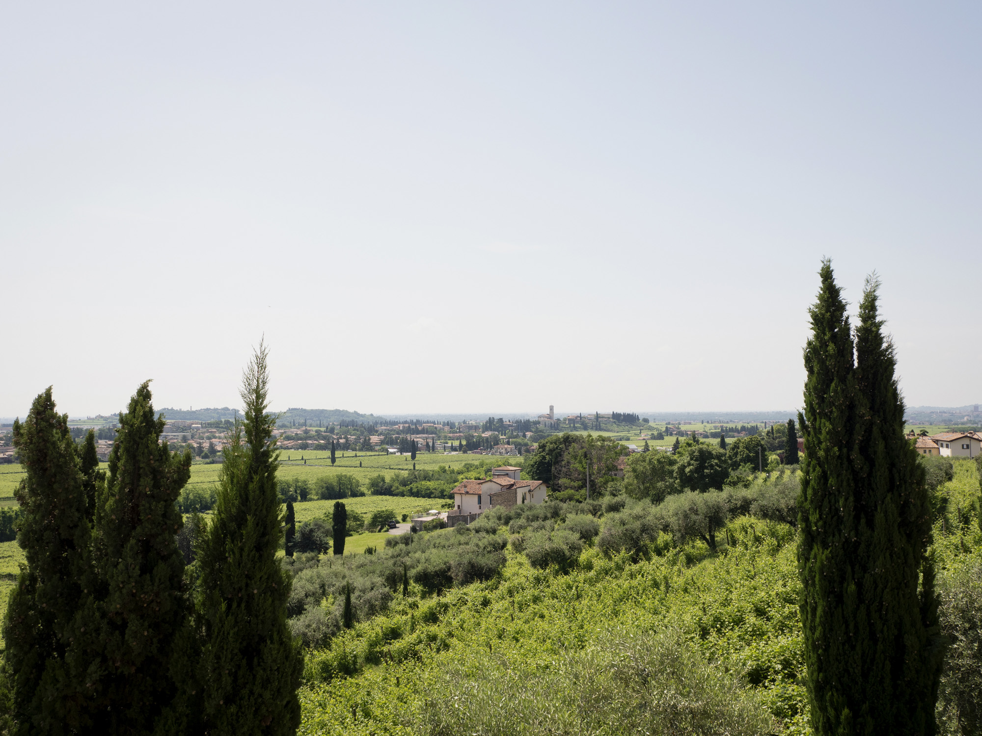 Elisa Z - Local Wine Guide in Veneto | WineTourism.com
