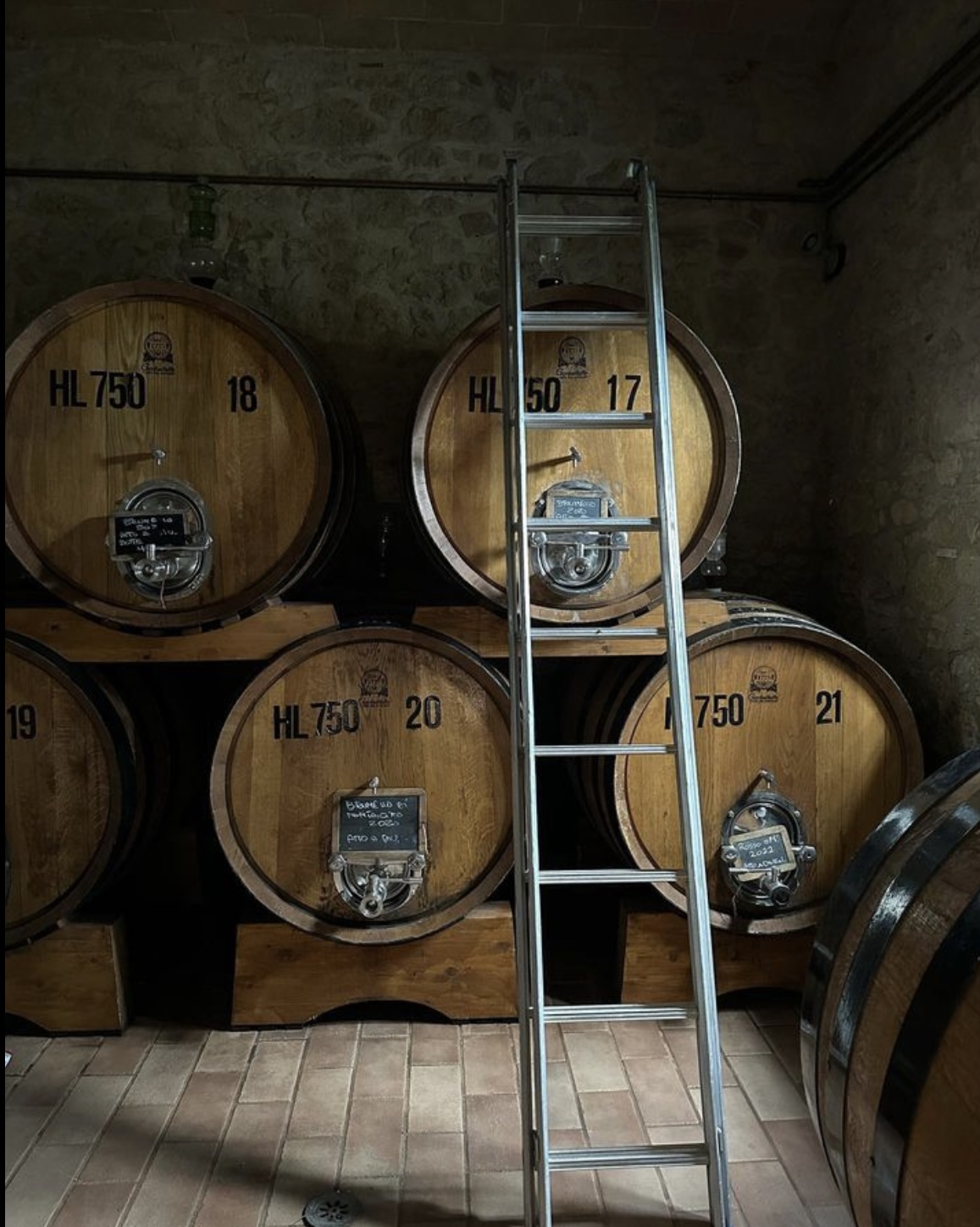 Pecci - Premium Wine Tasting in Tuscany | Winetourism.com