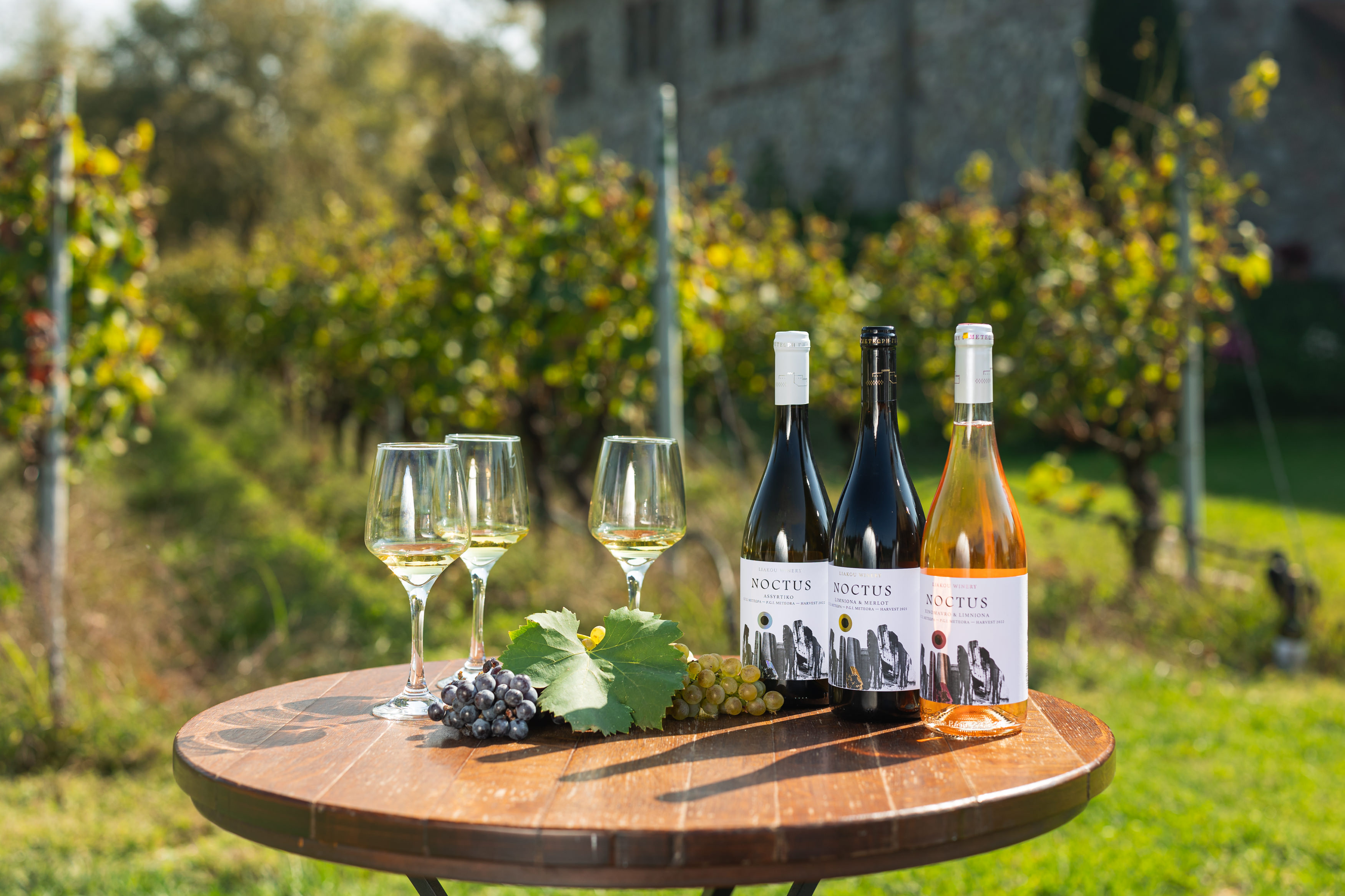 Liakou - Wine Tasting in the Vineyards in Thessaly | Winetourism.com