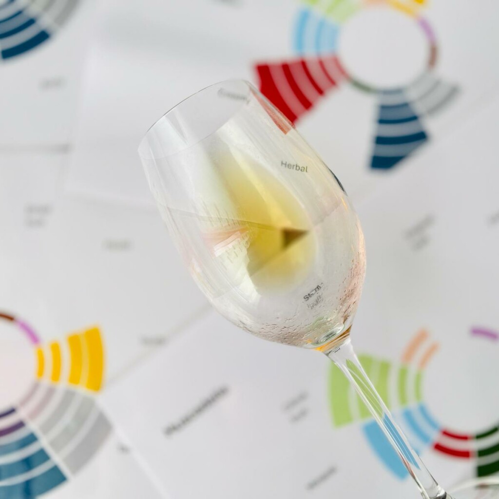 Deep Dive Bordeaux Organic and Biodynamic | WineTourism.com