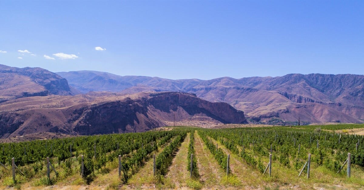 Cata de vinos y visita guiada VIP en la bodega HIN ARENI. | Winetourism.com