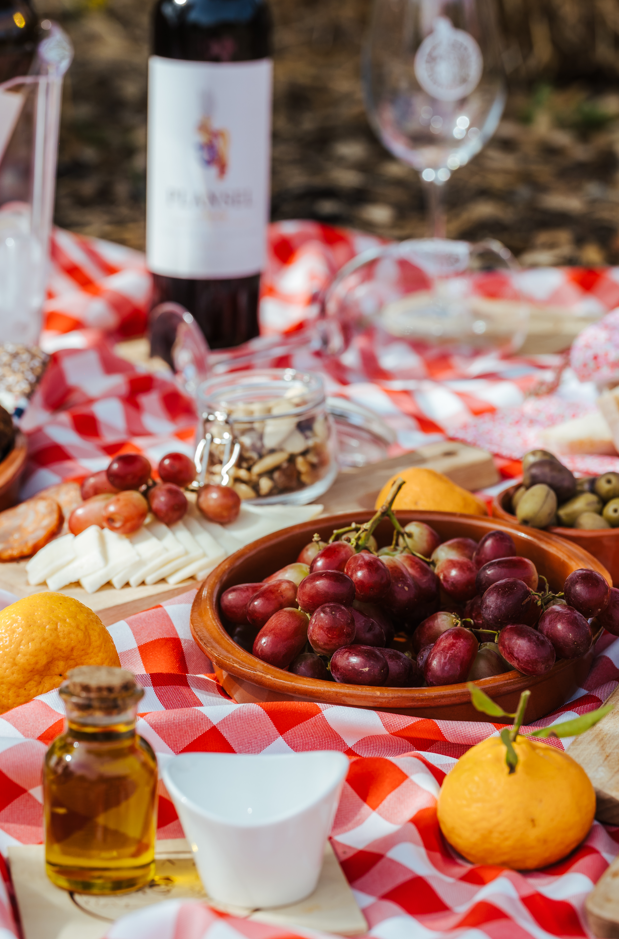 Portugal - Picnic at Wine at Quinta Da Plansel in Evora | Winetourism.com