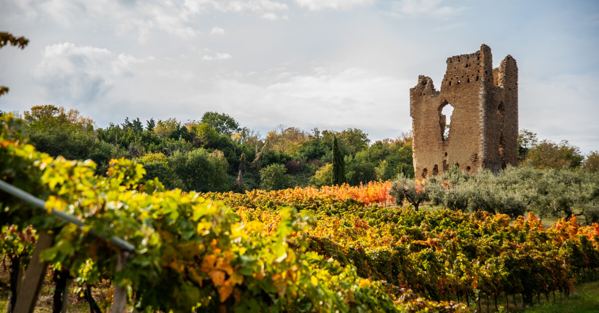 Torre Raone - Winery in Abruzzo | Winetourism.com