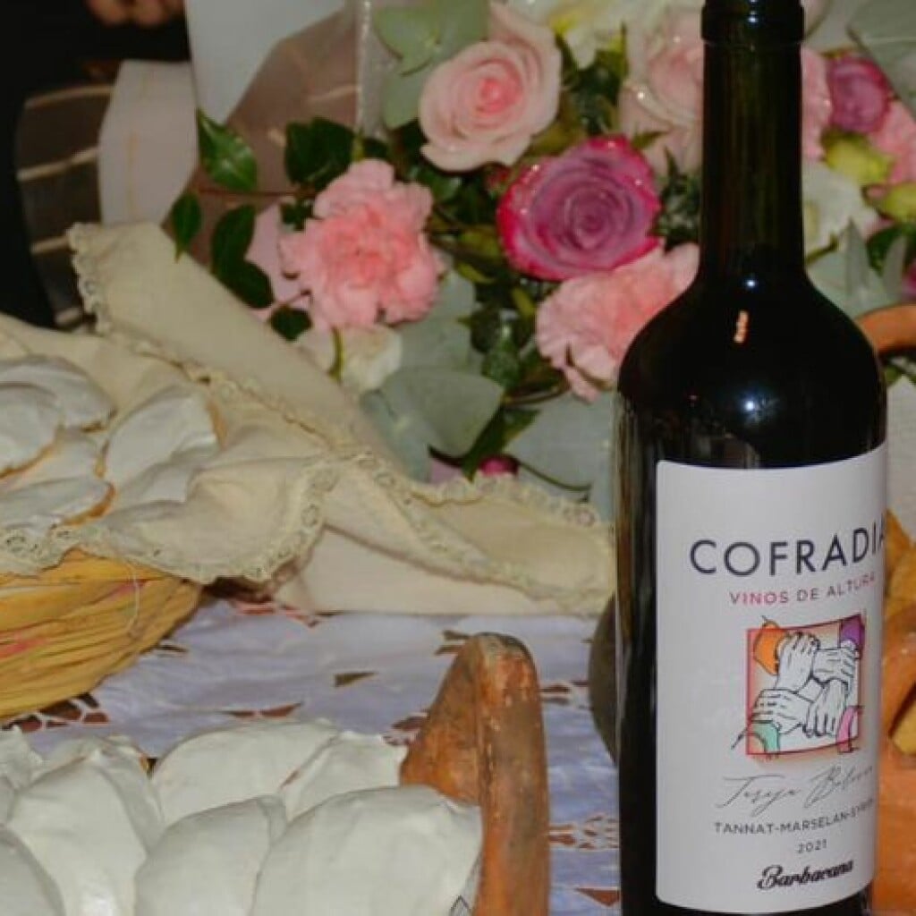 Barbacana Wine Tasting & Bolivian Winery Tour | Winetourism.com