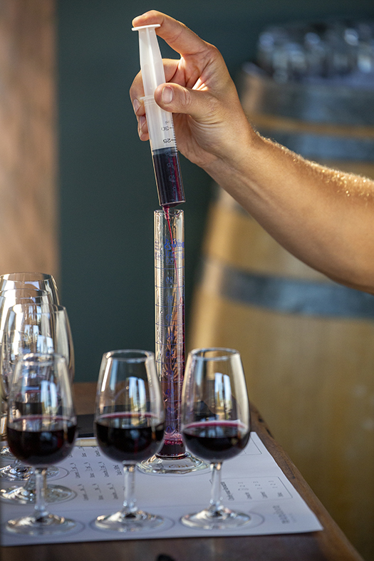 Mandoon - Perfect Wine Blend in Western Australia | WineTourism.com