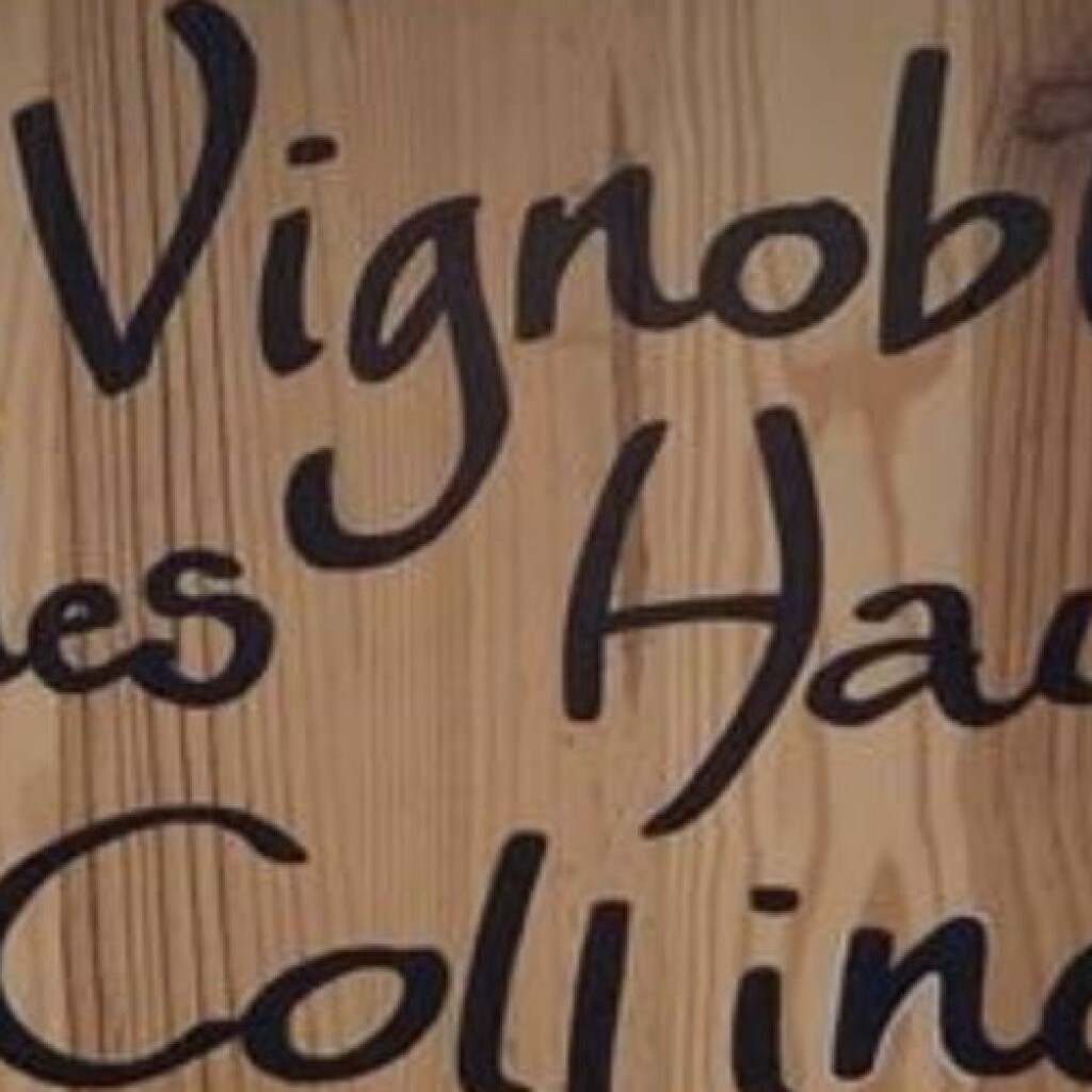 Domaine Des Hautes Collines De La Ote D'Azur - Winery in Provence ...