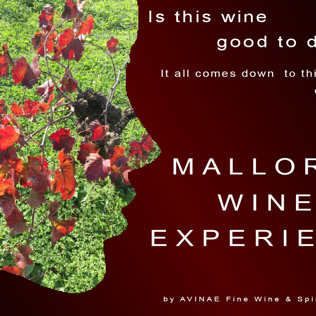 Mallorcan Wine Tasting Experience in Palma Old Town | Winetourism.com