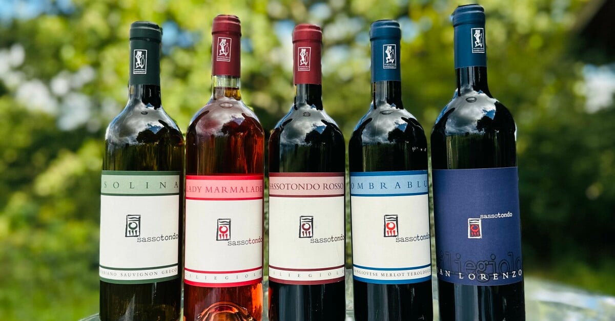 Sassotondo Wine Tasting Experience in Pitigliano | Winetourism.com