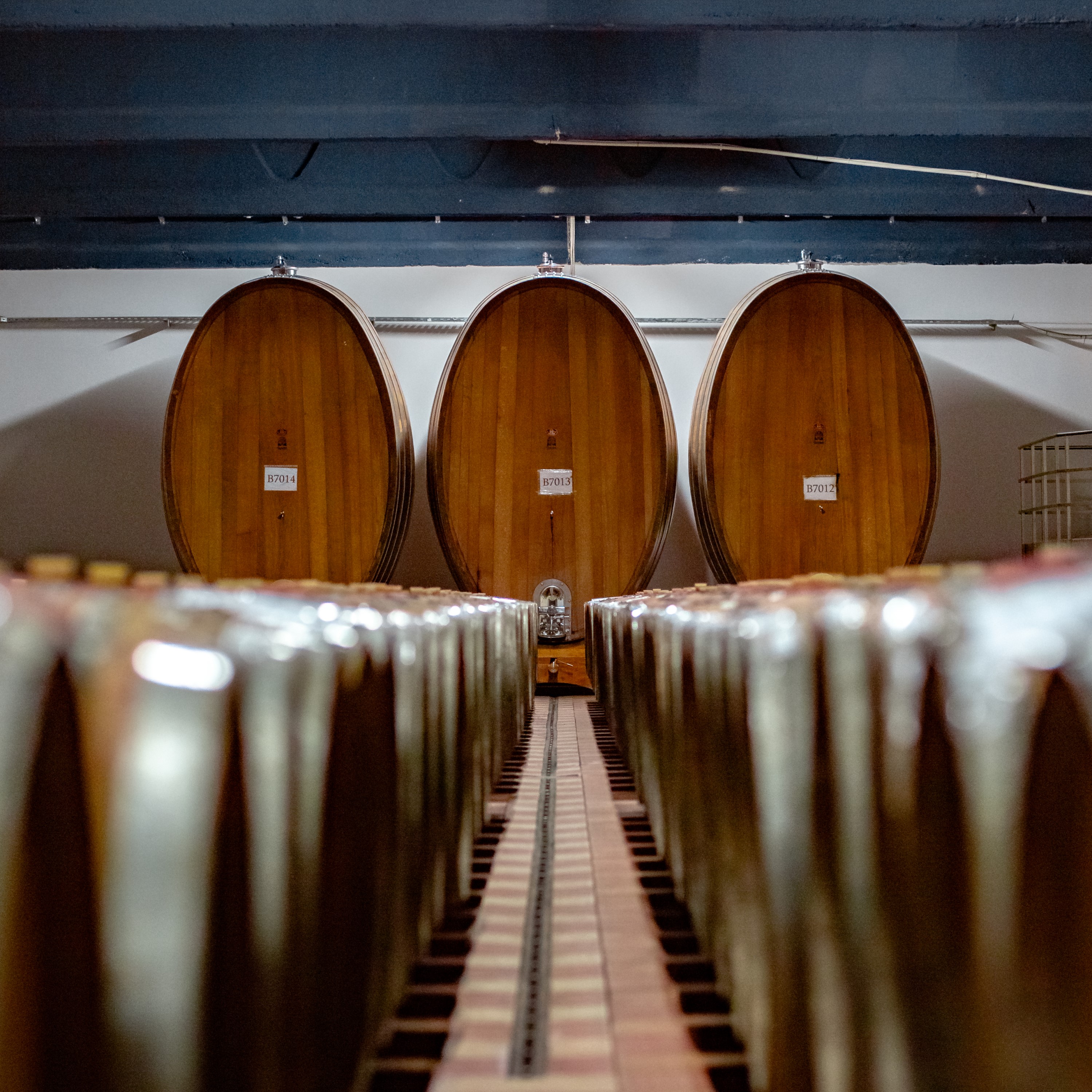 Wine Tasting at Telavi Wine Cellar in Kakheti | Winetourism.com
